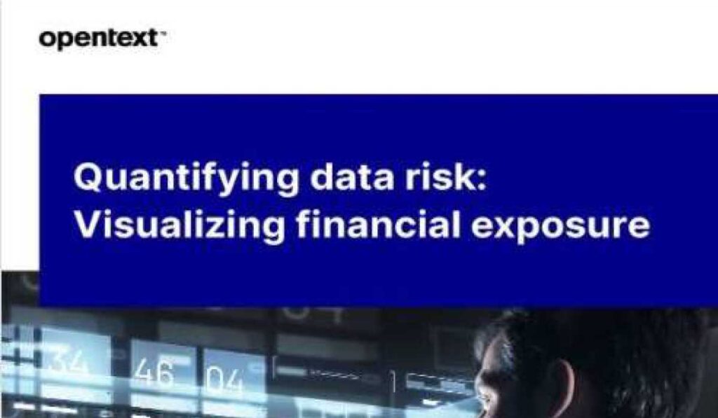 Quantifying Data Risk: A Strategic Approach for Visualizing Financial ...