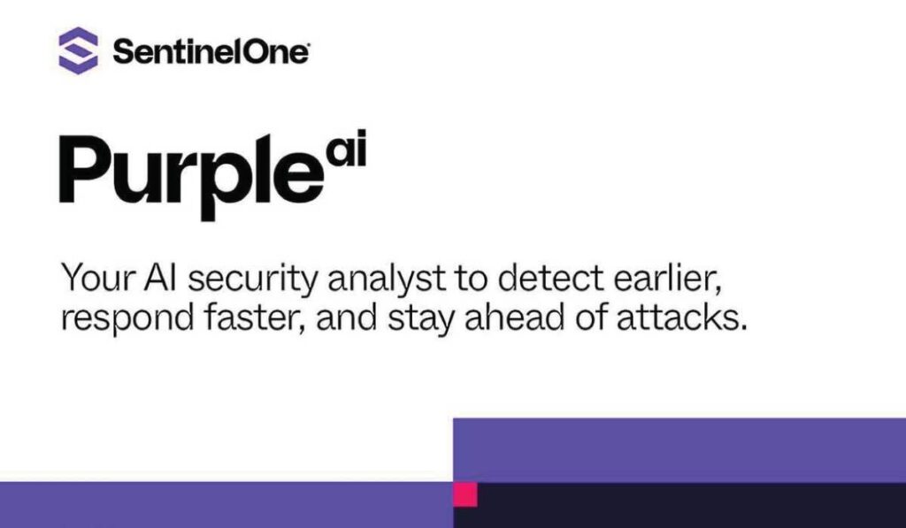 Purple AI Datasheet – B2B Network Services